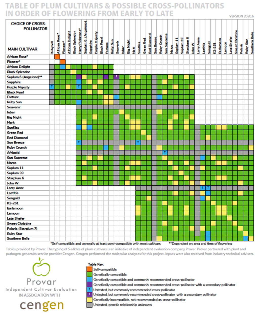 Five factors affecting fruit set – Fresh Quarterly